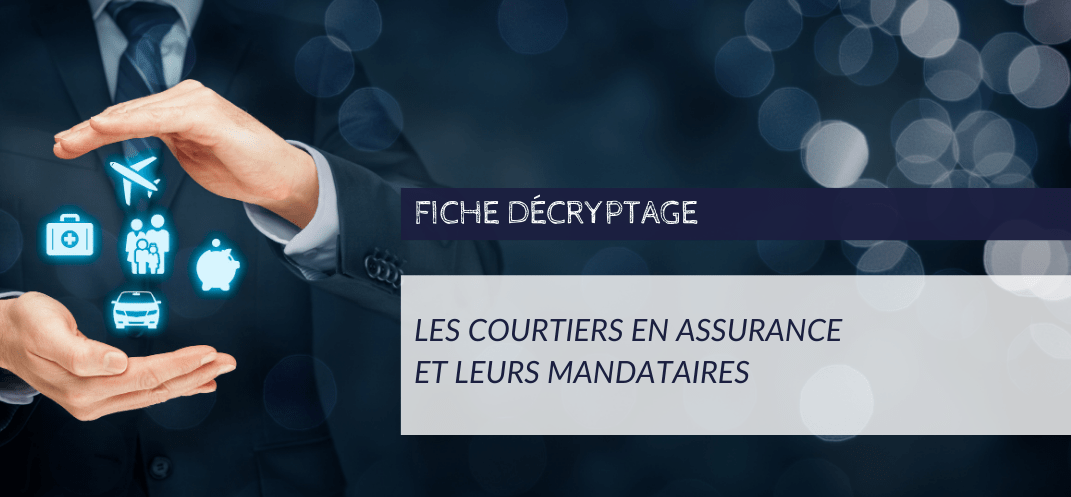 Les Courtiers En Assurance Et Leurs Mandataires